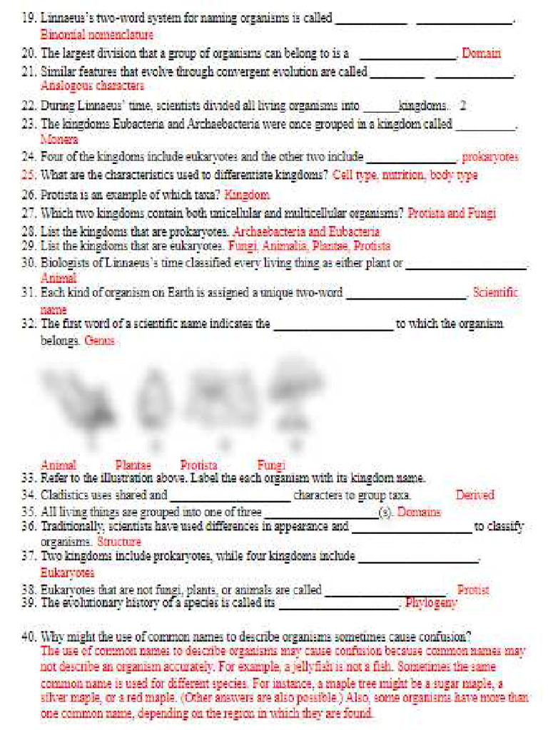 CLASSIFICATION TEST | PDF