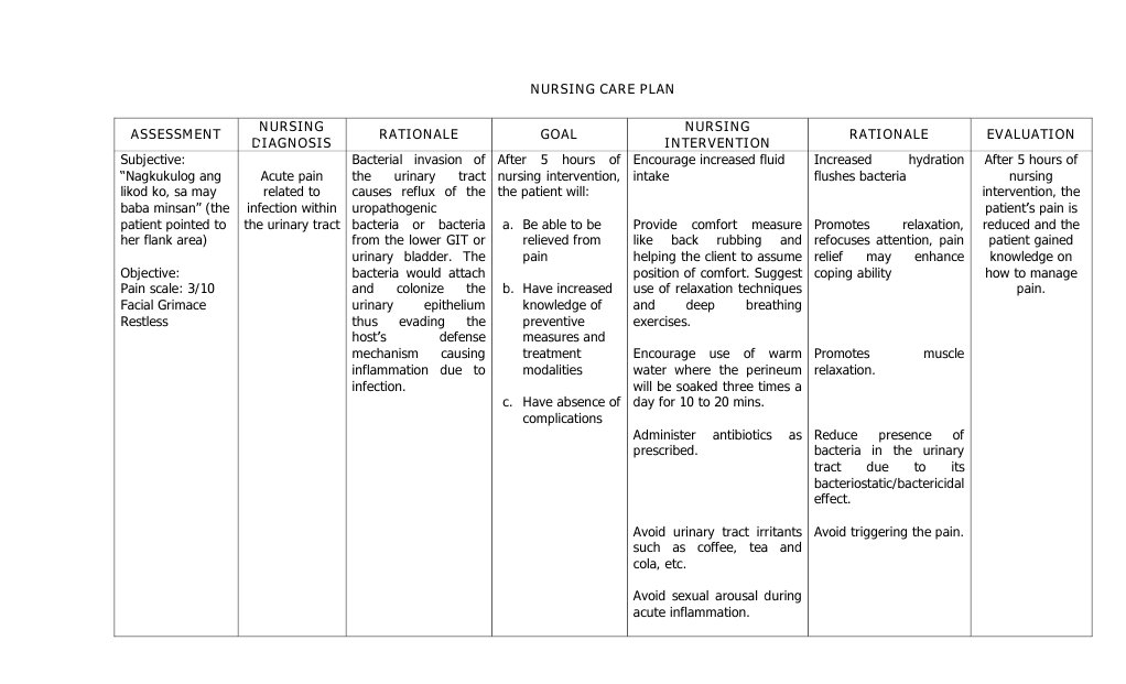 UTI Nursing Care Plan Guide | PDF