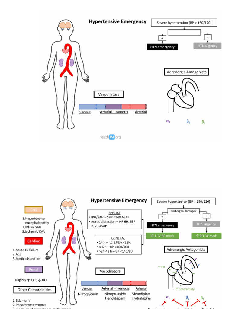 Hypertensive-emergency-learner-handout | PDF