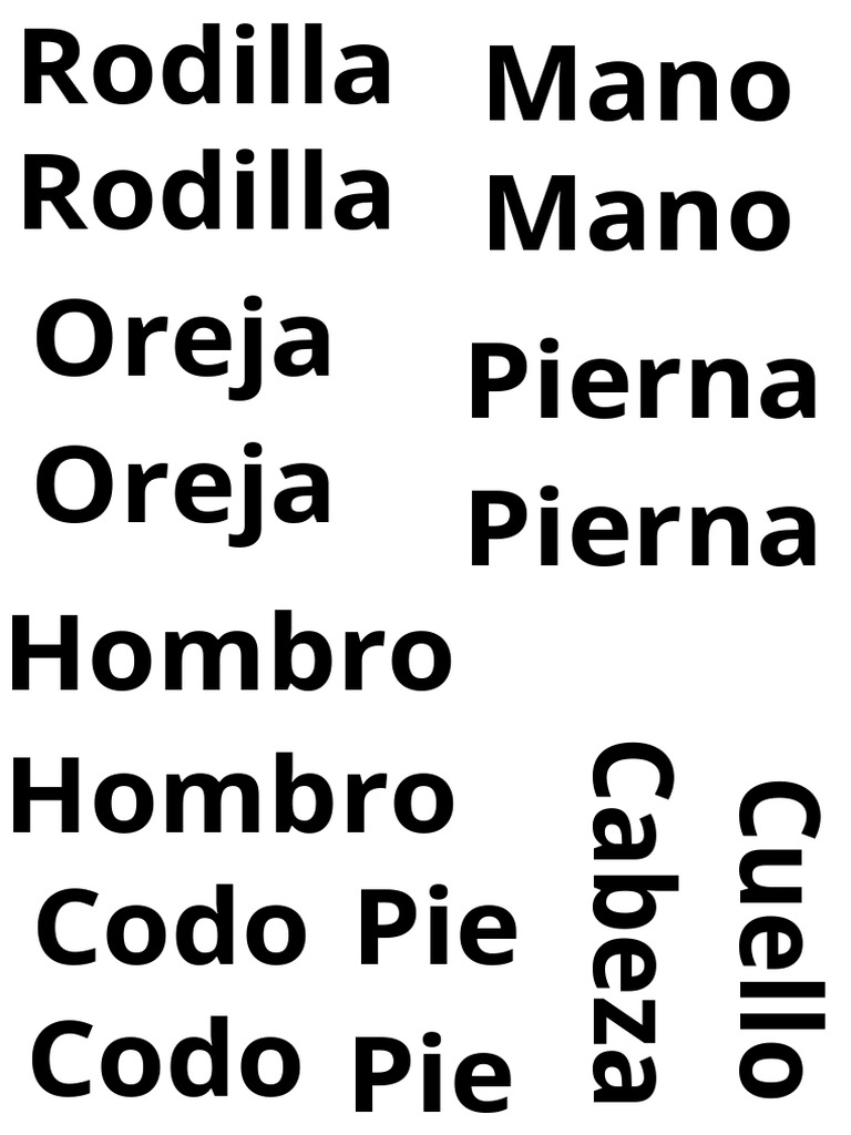 Partes del Cuerpo Humano | PDF