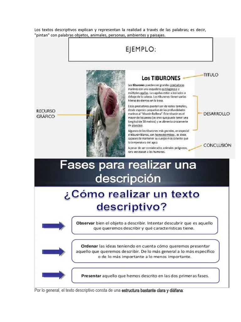Los Textos Descriptivos Explican y Representan La Realidad A Través de ...