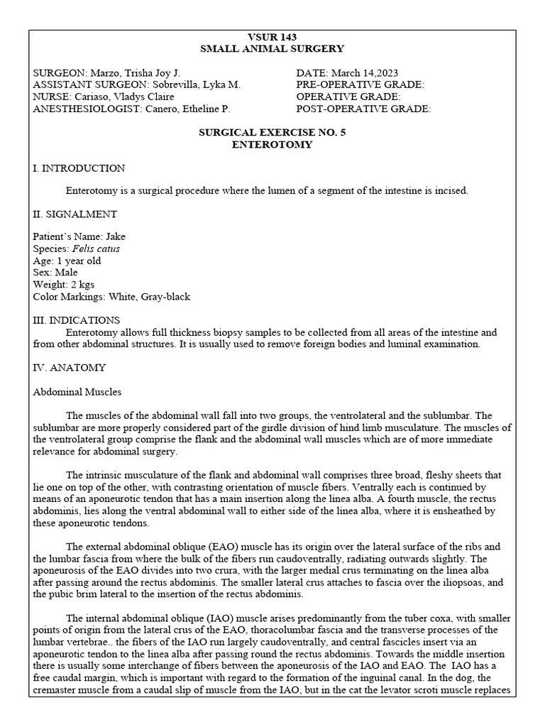 Vsur 143 Enterotomy | PDF | Small Intestine | Abdomen