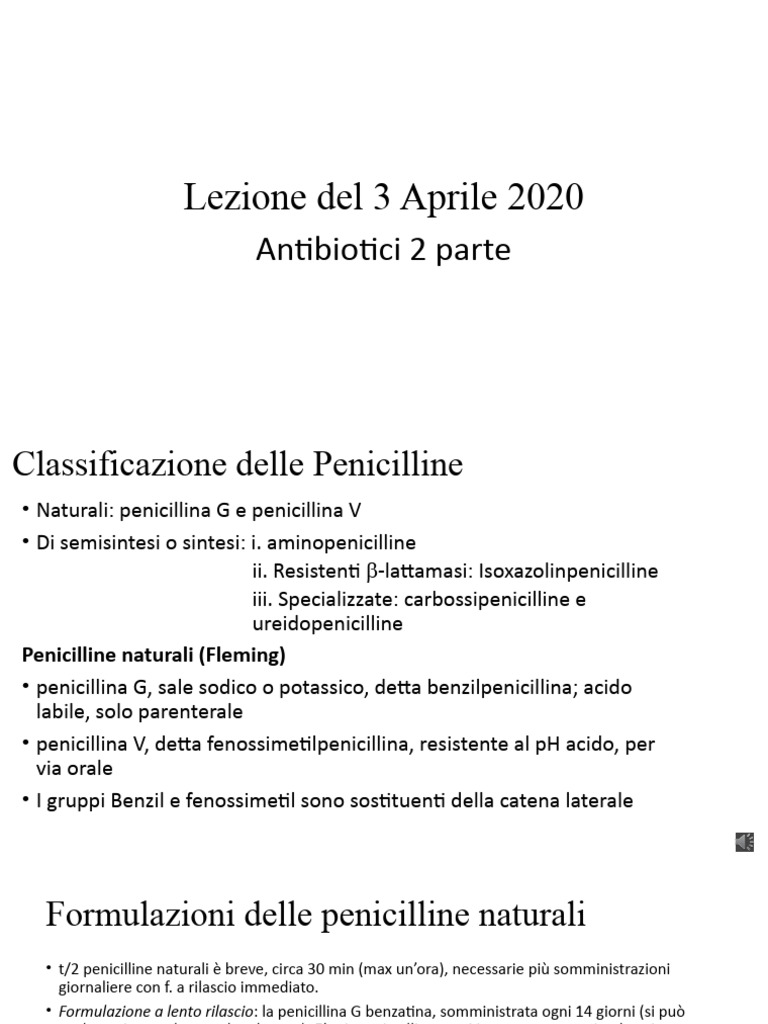 Lezioni Antibiotici 2 Blattamici e Glicopeptidi RG | PDF
