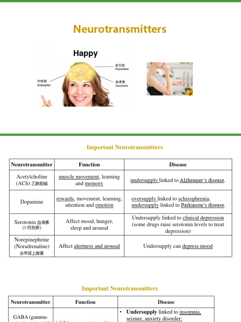 Key Neurotransmitters and Their Functions | PDF | Neurotransmitter ...