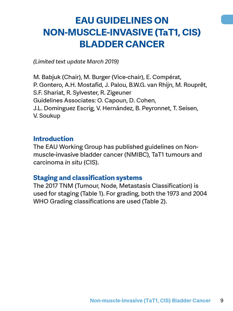 EAU Pocket Guidelines Non Muscle Invasive Bladder Cancer TaT1 CIS 2019 1 | PDF | Medicine | Urology