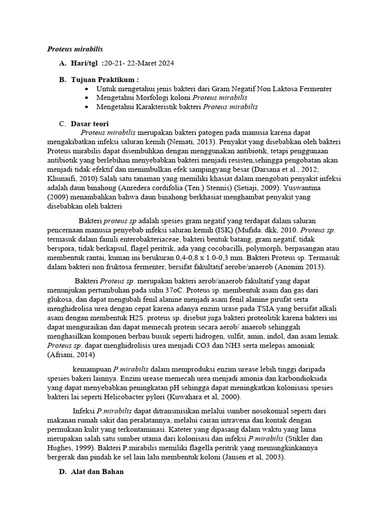 Proteus Mirabilis | PDF