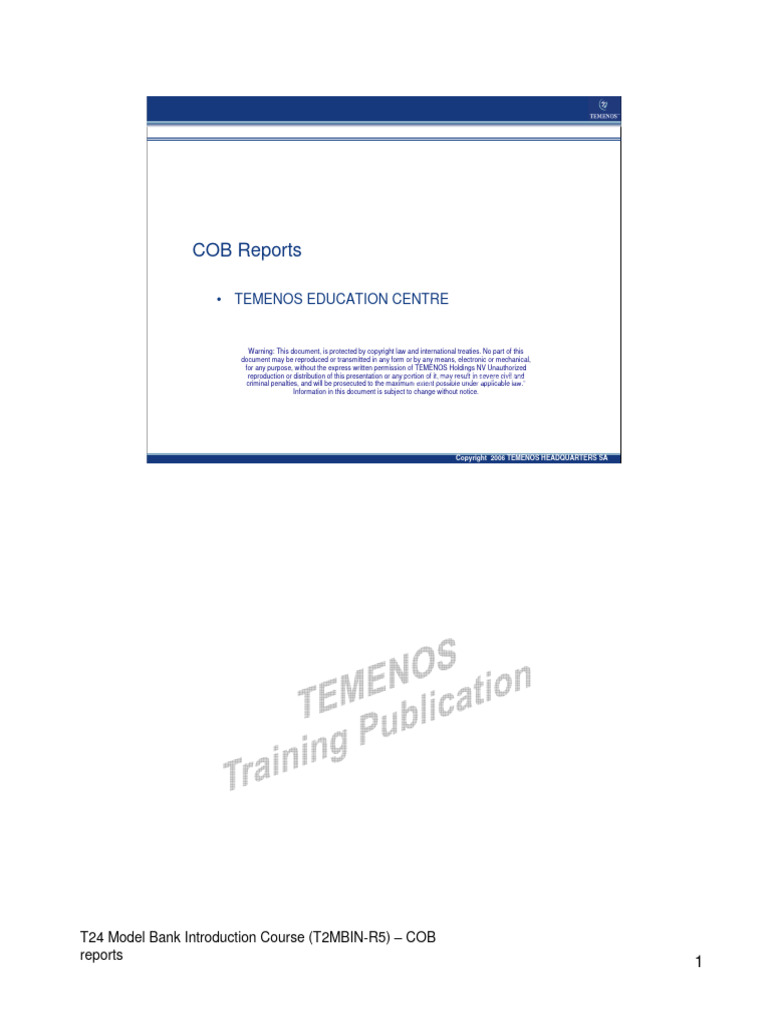 12. COB Reports | PDF | Banks | Debits And Credits