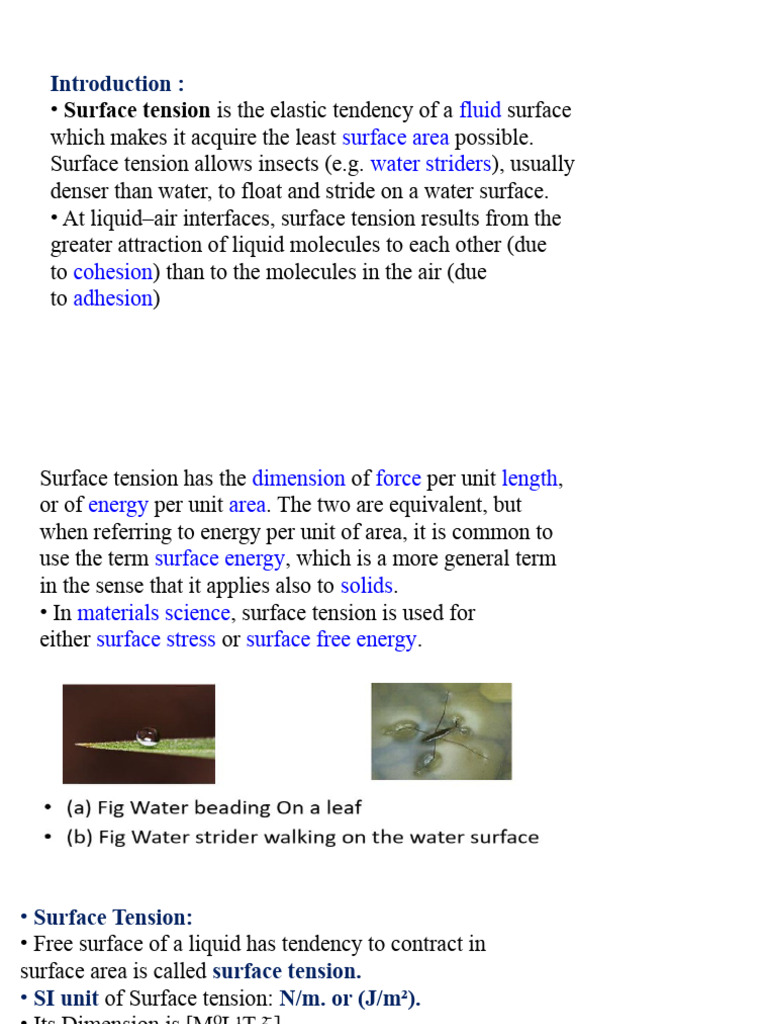 MUCLecture 2023 12218691 | PDF | Foreign Language Studies | Teaching Methods & Materials