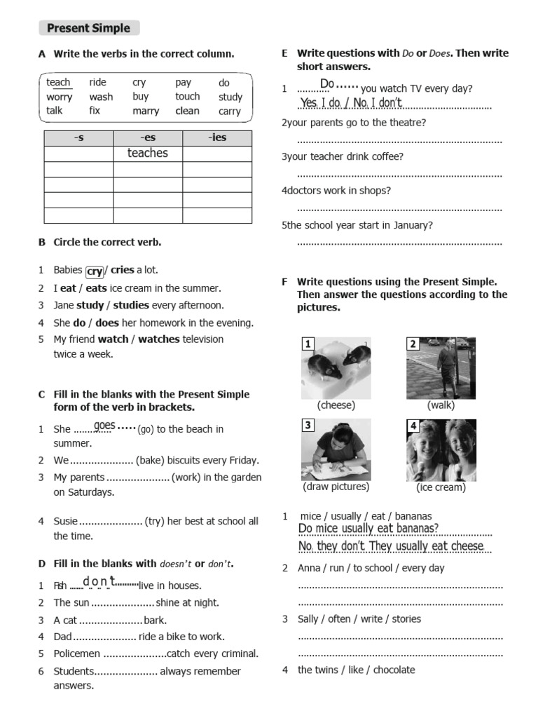 Present Simple 1 | PDF