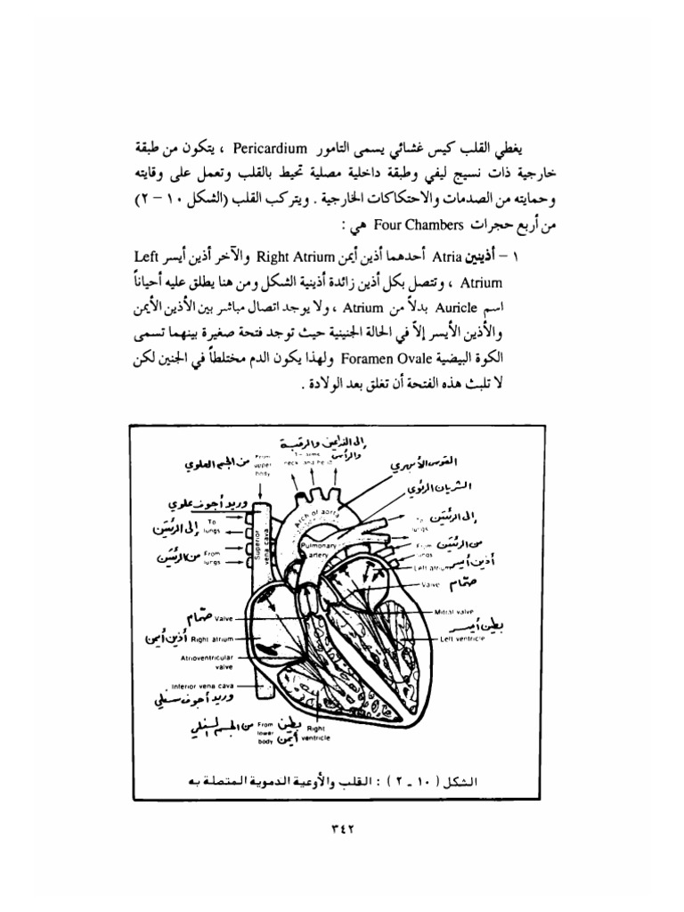 Circulation 2 Pdf