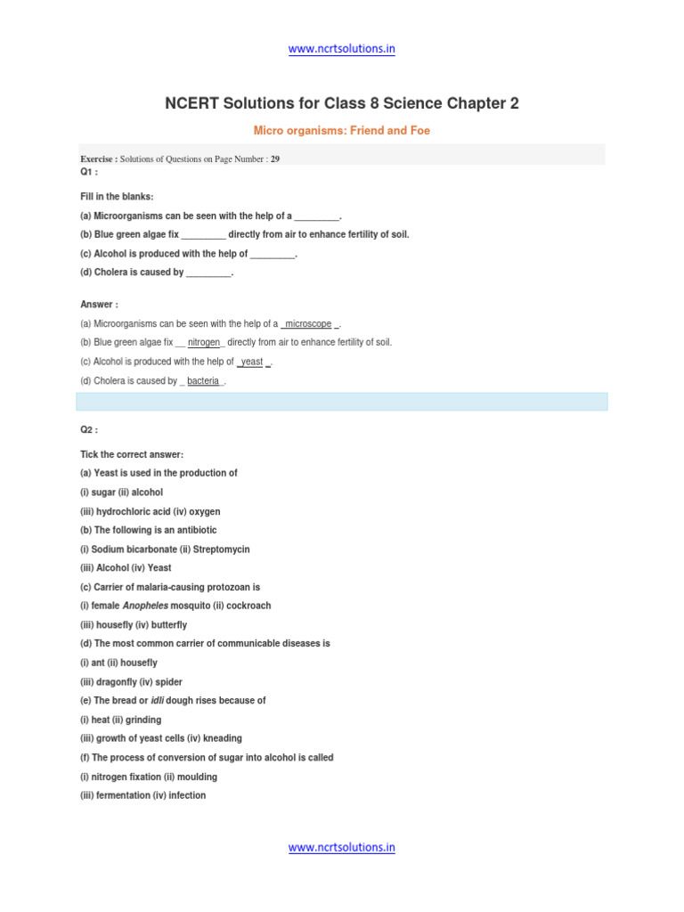 Microorganisms - Friend or Foe | PDF | Microorganism | Bacteria