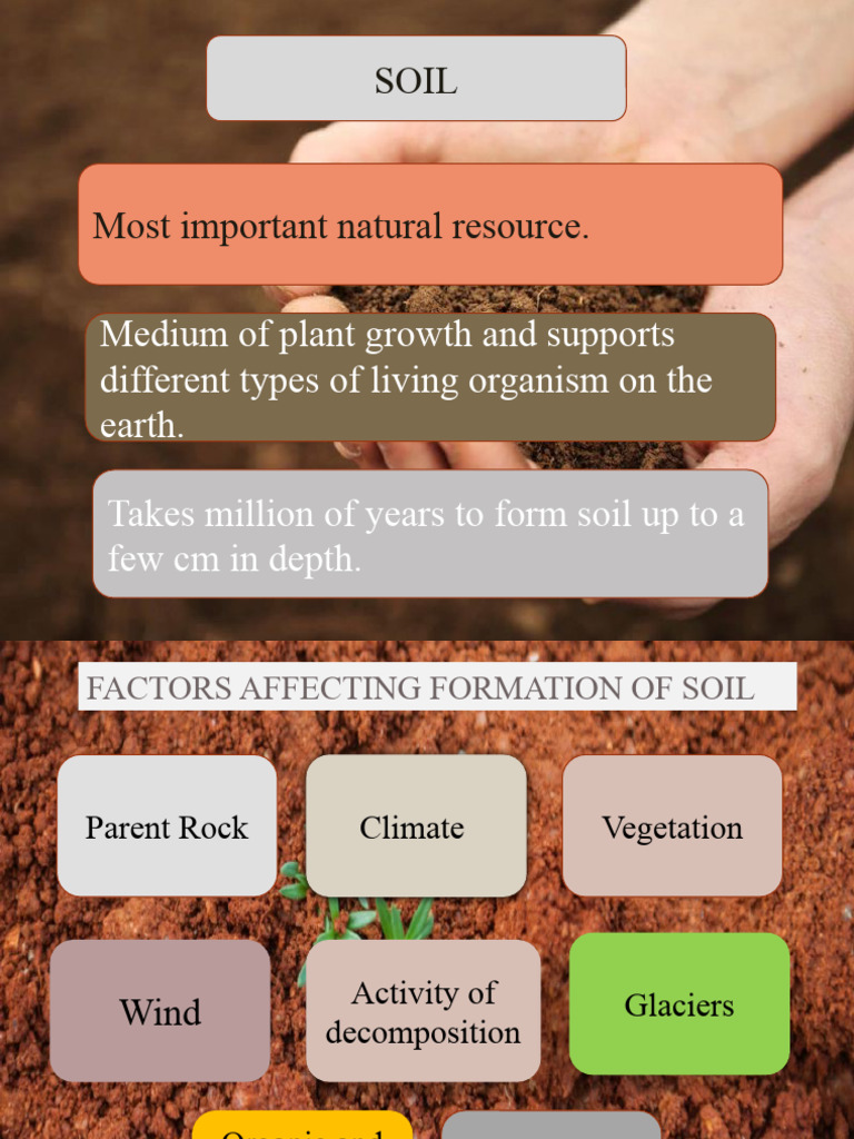 Resources and Develpoment - Soil | PDF | Soil | Erosion Resources and Develpoment - Soil | PDF | Soil | Erosion