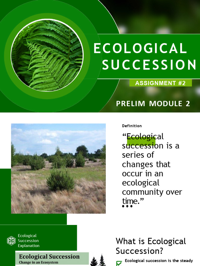 Ecological Succession Guide | PDF | Ecology | Ecosystem