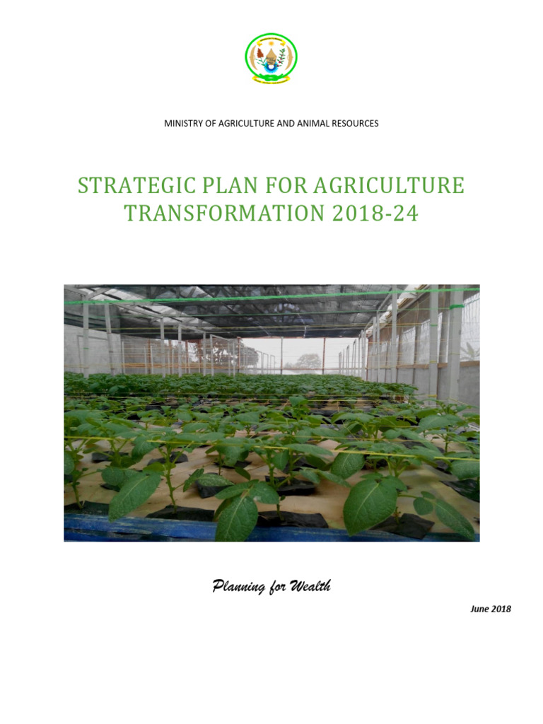 PSTA4 Rwanda Strategic Plan For Agriculture Transformation 2018 | PDF ...