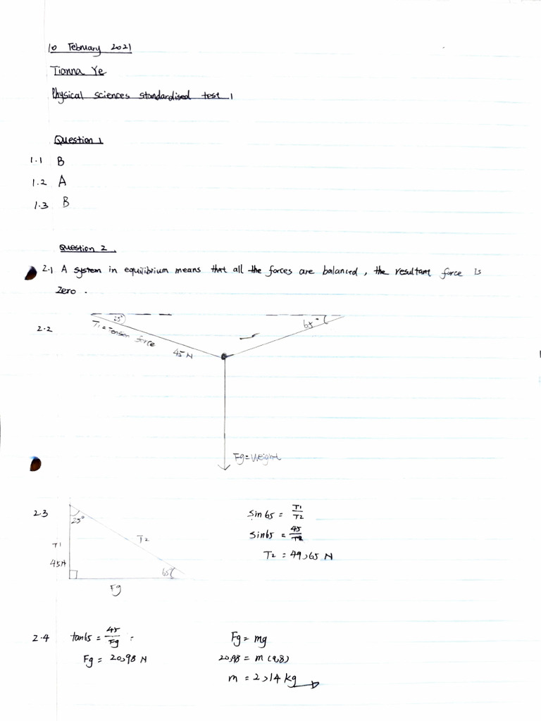 Physics Standard Test Tianna Ye | PDF