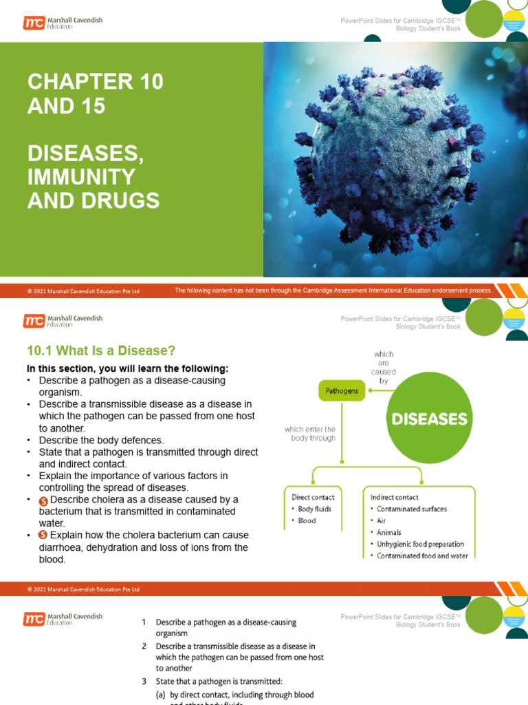 Diseases and Immunity in IGCSE Biology | PDF | Adaptive Immune System ...