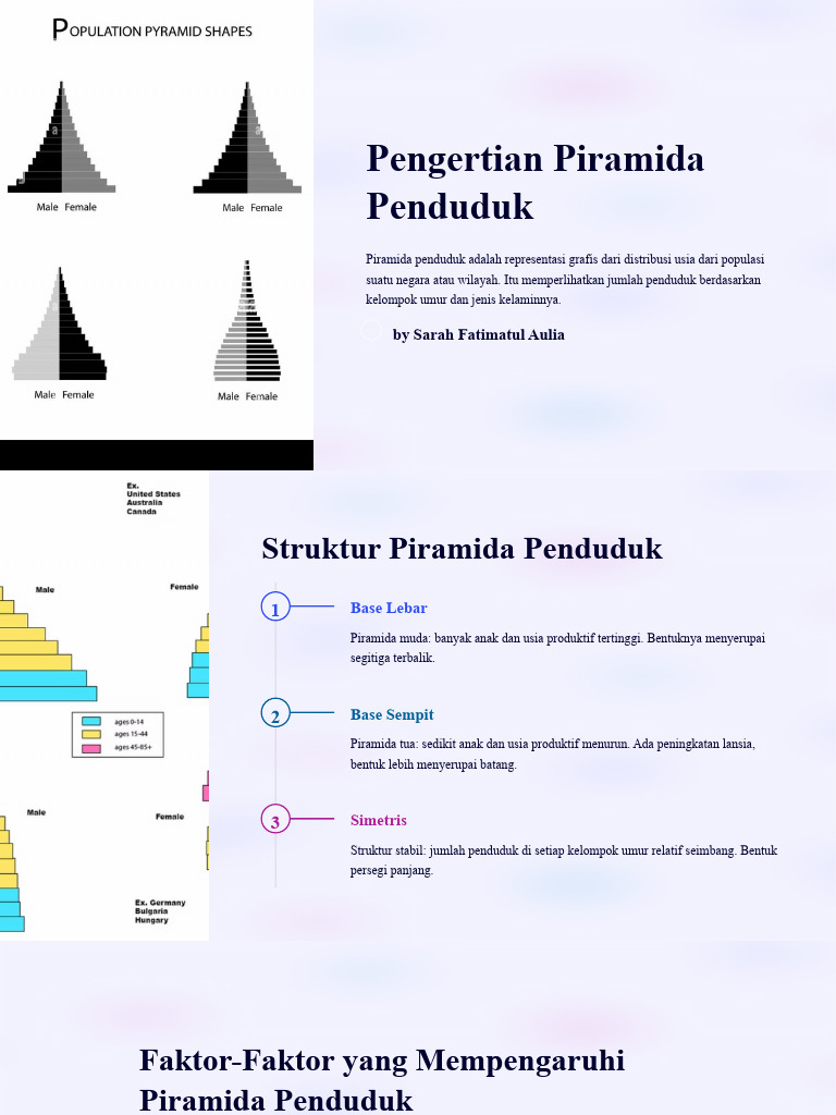 Pengertian Piramida Penduduk | PDF