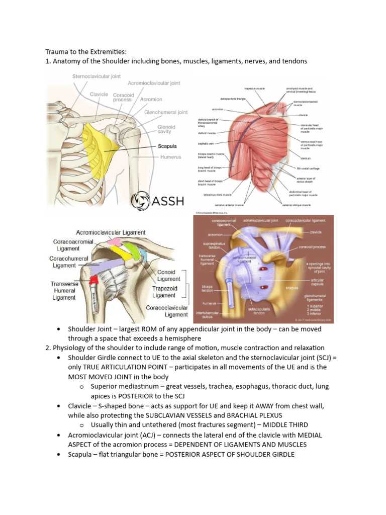 Extremity and Upper Trauma | PDF | Shoulder | Anatomical Terms Of Motion