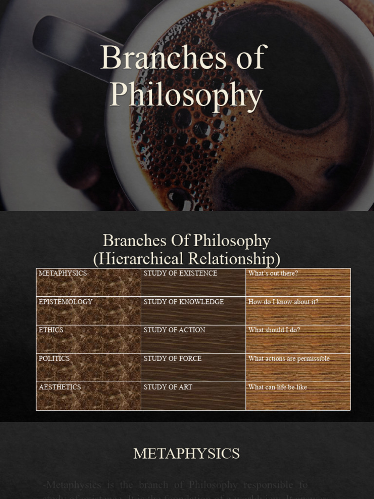 Branches of Philosophy | PDF | Epistemology | Morality