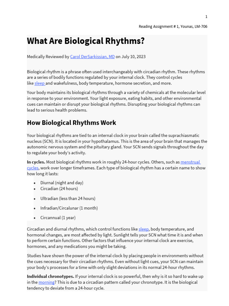 Biological Rhythms | PDF | Circadian Rhythm | Sleep