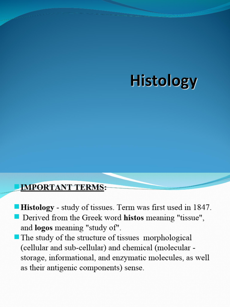 Histology 1 Pdf Epithelium Connective Tissue