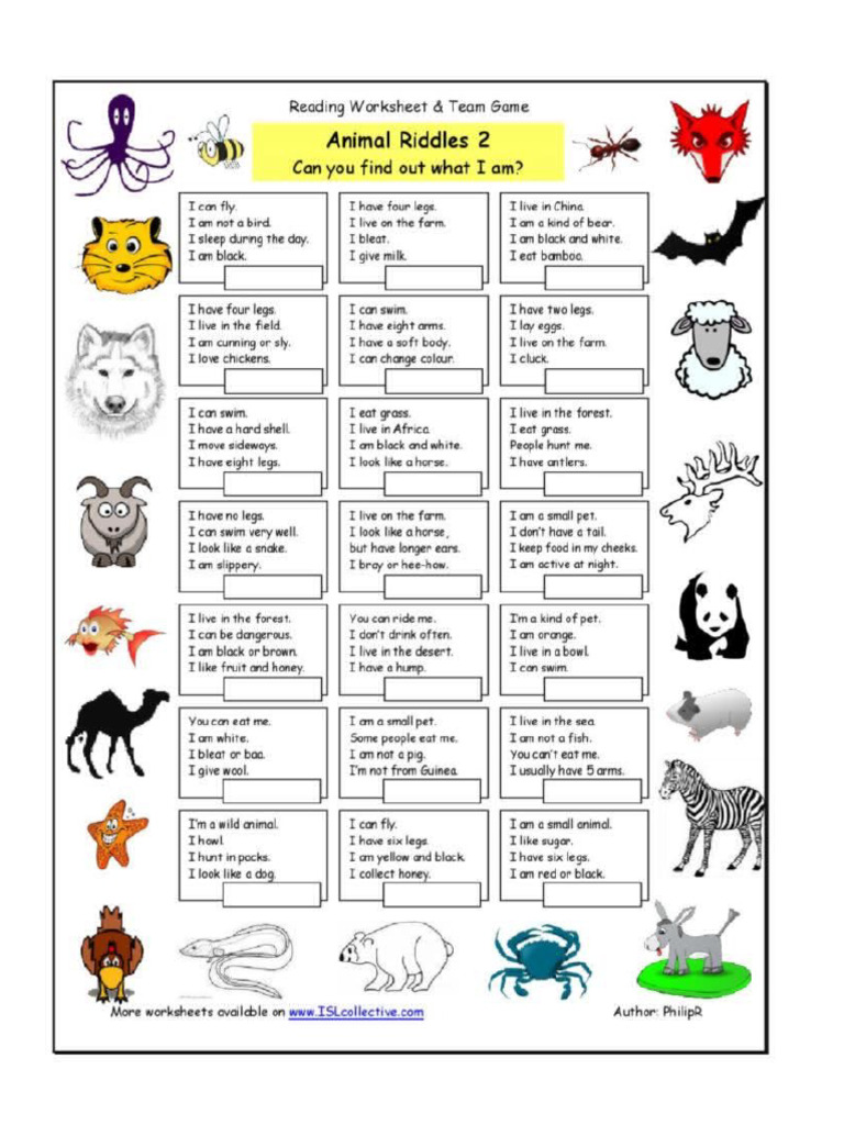 Animal Riddles | PDF