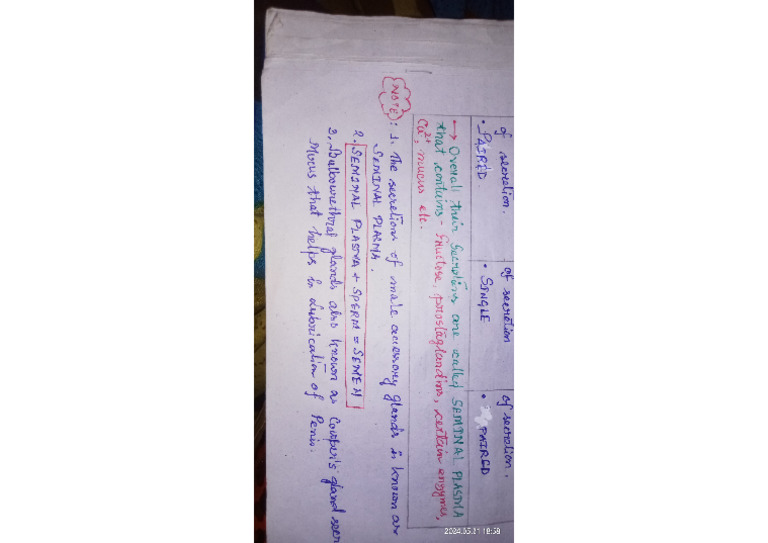 Important Points | PDF