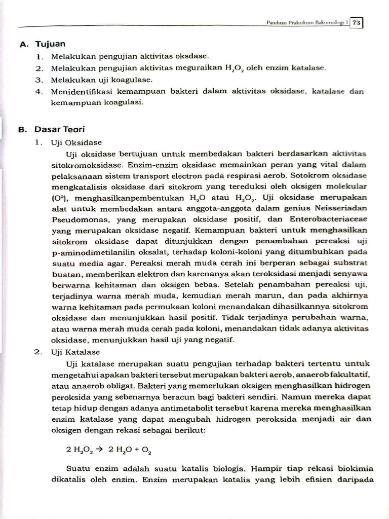 Neng Syifa Setia Futriyyah - KHGE23091 - Laporan Uji Oksidase, Katalase ...