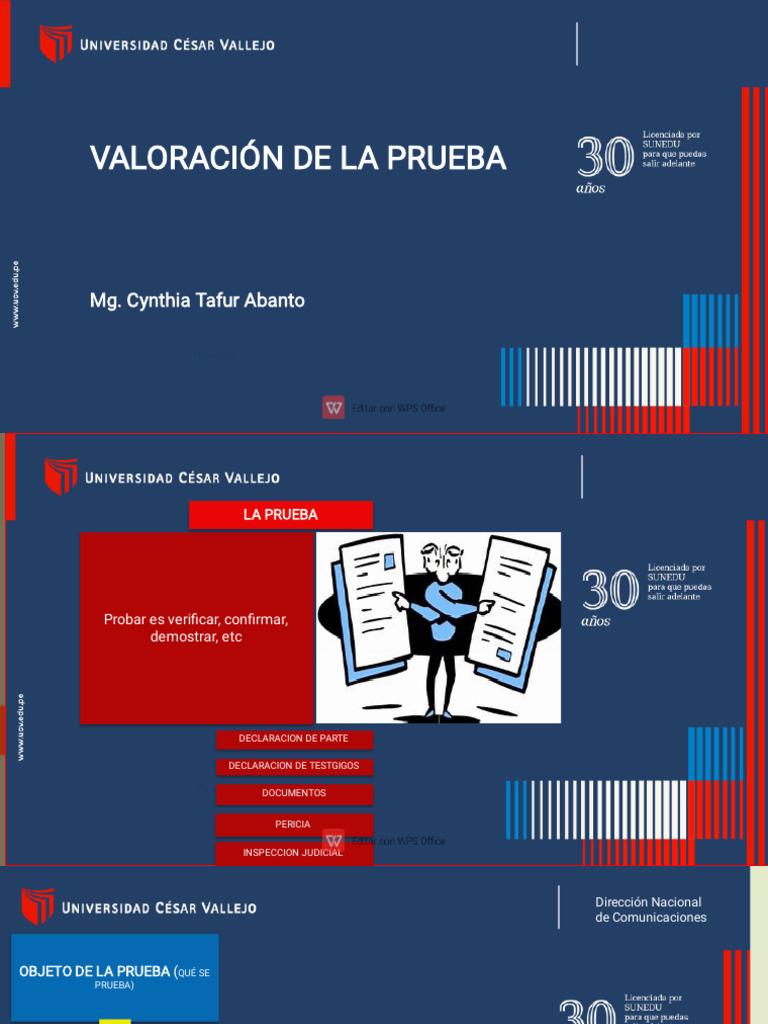 Valoracion de La Prueba | Descargar gratis PDF | Justicia | Crimen y violencia