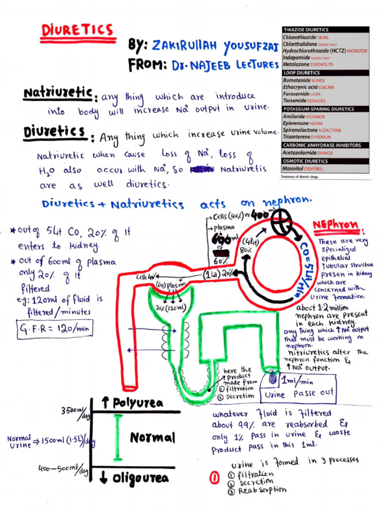 Diuretics Drugs by Zakirullah Yousufzai From DR Najeeb Lectures | PDF