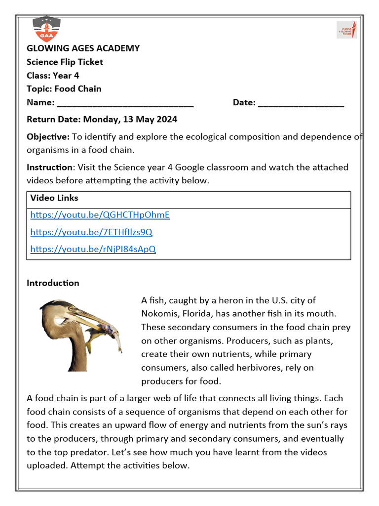 Sci Yr4 Wk2 Flip Ticket | PDF | Science & Mathematics