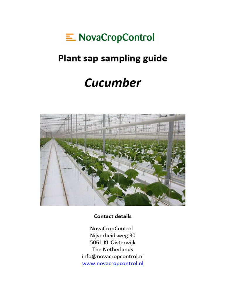 Cucumber Plant Sap Sampling Guide | PDF | Leaf