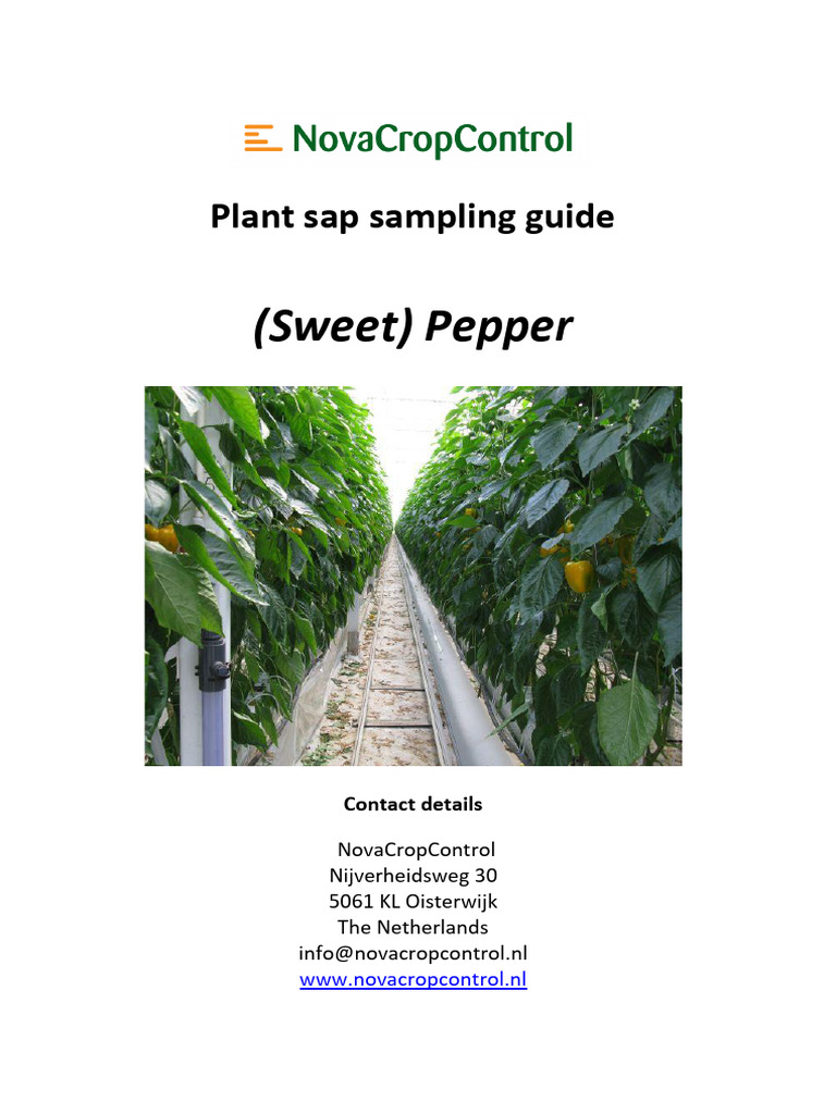 NCC Pepper Sampling Guide | PDF | Leaf