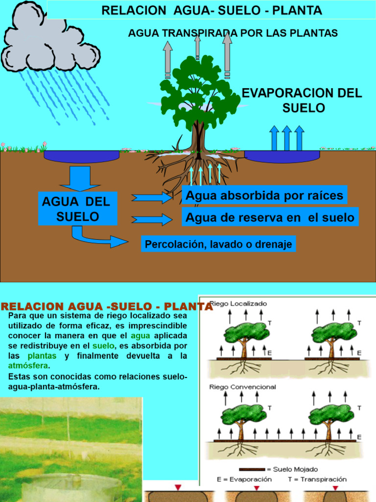 Relacion Agua Suelo Planta - ILIDE - Info Platform PDF Viewer | PDF
