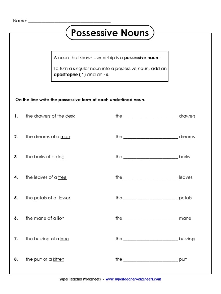 Possessive Nouns Worksheets - JPG | PDF | Noun | Plural