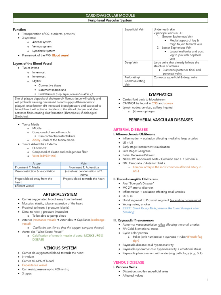 Cardiac Module_PVD | PDF | Vein | Blood Vessel