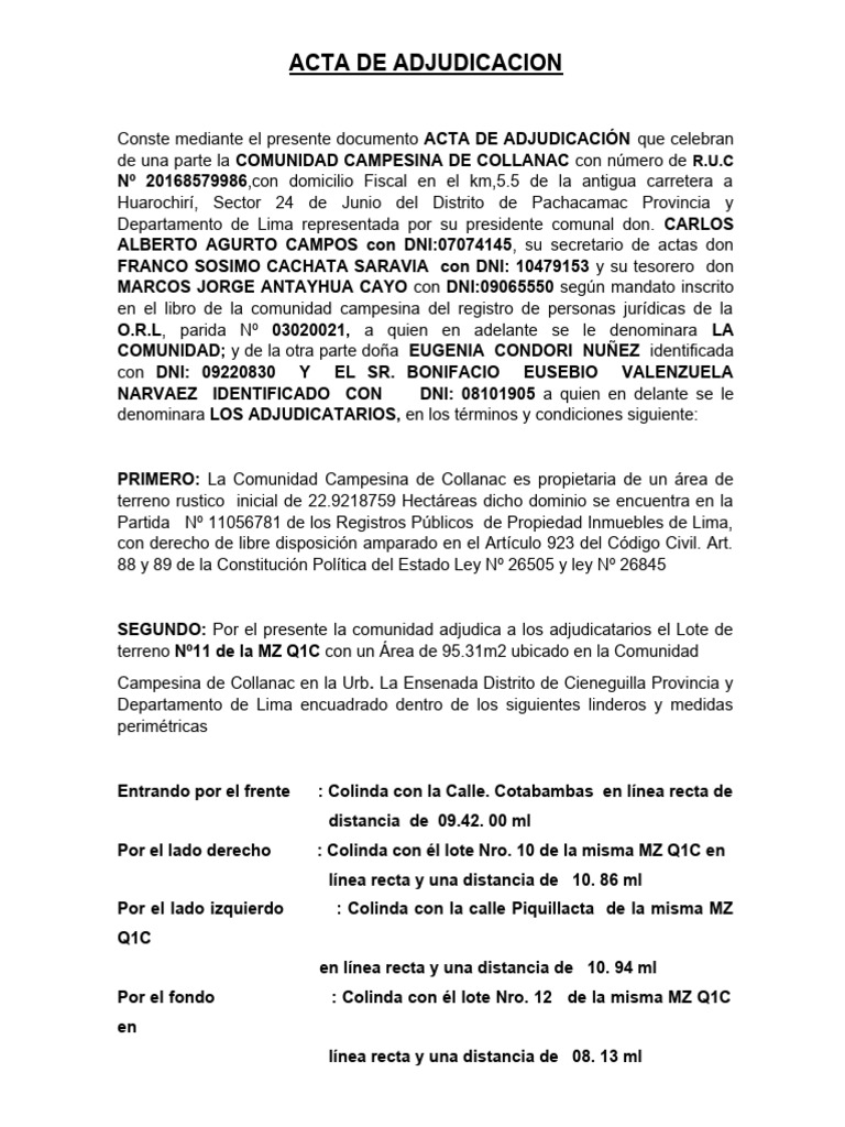 Acta de Adjudicacion Eugenia Condori Nuñez | PDF | Gobierno | Justicia