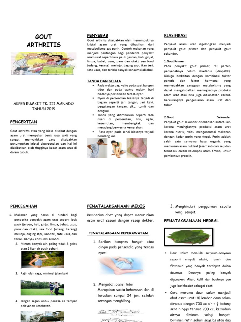 Leaflet Gout Arthritis | PDF