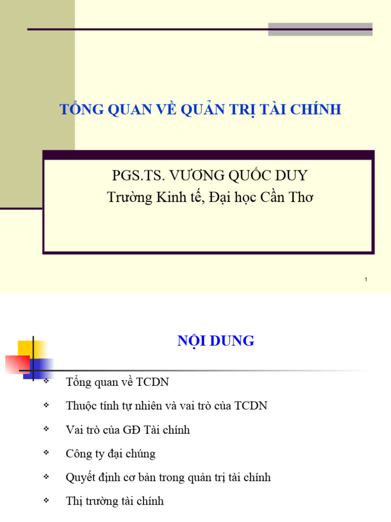 Chapter 1 - Tong Quan Ve TCDN (QTTC) | PDF