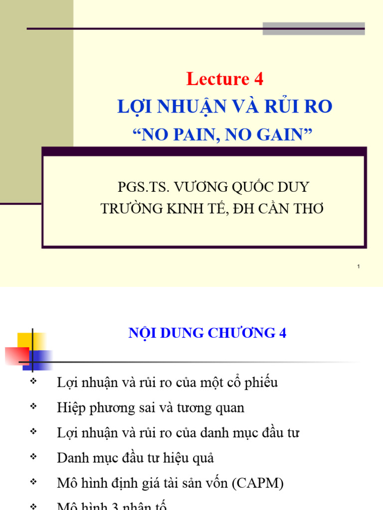 Chapter 4 - Loi Nhuan & Rui Ro Va Mo Hinh Capm | PDF