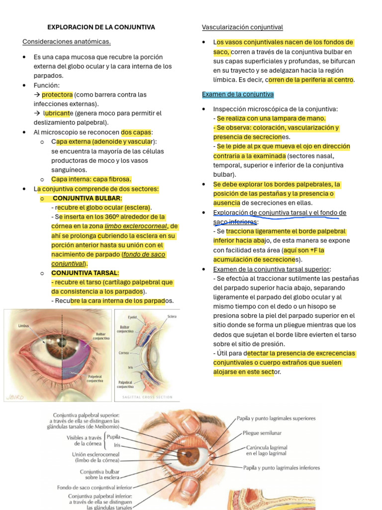 Exploración de la Conjuntiva Ocular | PDF | Inflamación | Patógeno