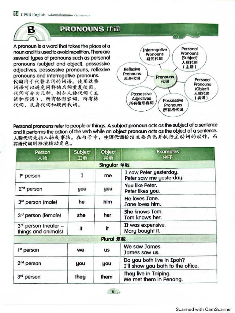 English Grammar Standard 4 | PDF