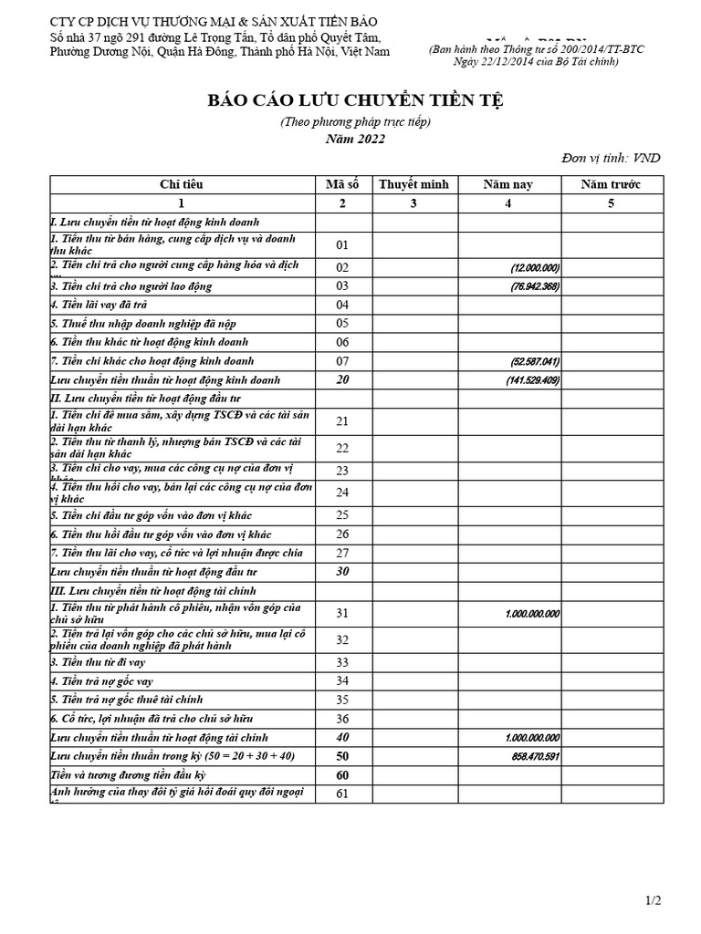 B03 DN Bao Cao Luu Chuyen Tien Te (PP Truc Tiep) | PDF