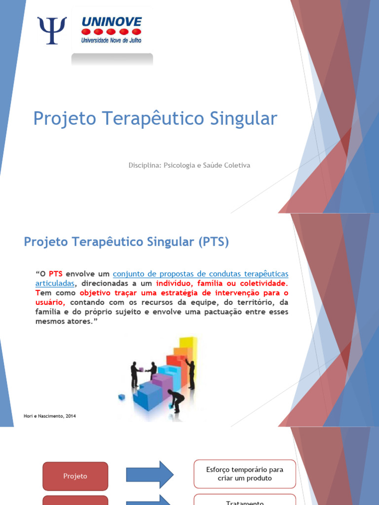 Projeto Terapêutico Singular | PDF | Família | Brasil