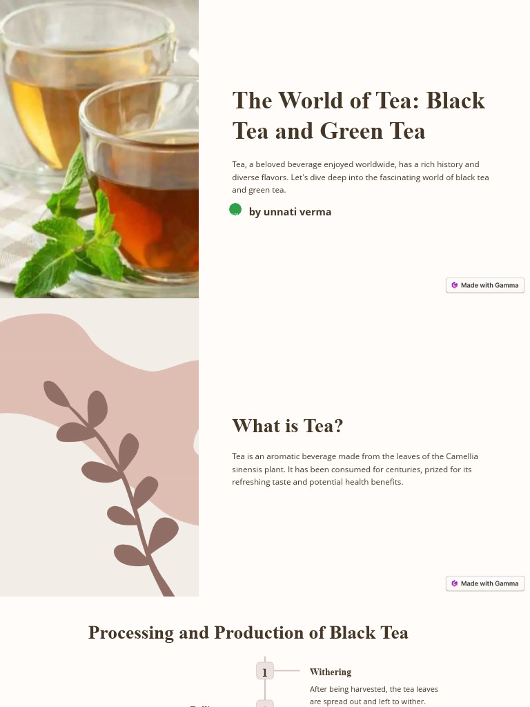 The World of Tea Black Tea and Green Tea | PDF | Tea | Green Tea