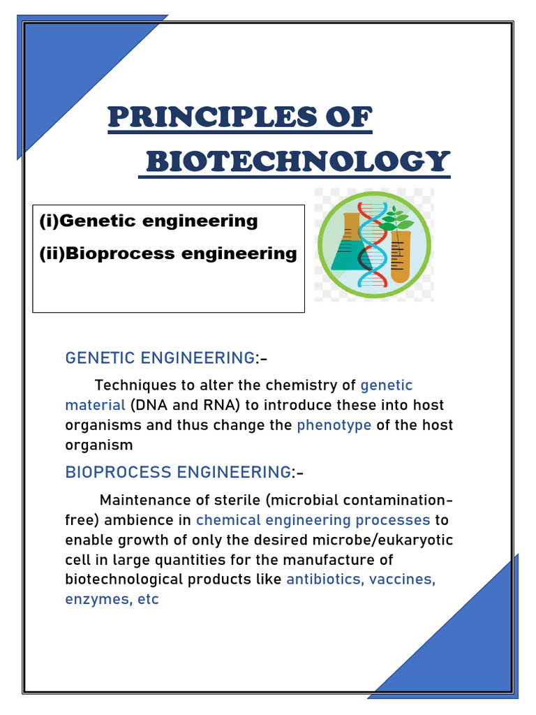 Biotechnology & Genetic Engineering Basics | PDF | Molecular Cloning ...