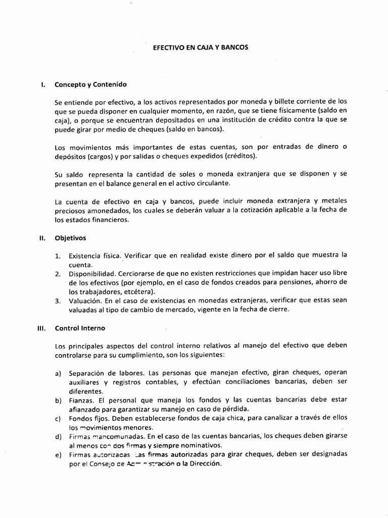 Caja y Bancos - Concepto y Definicion - Programa | PDF