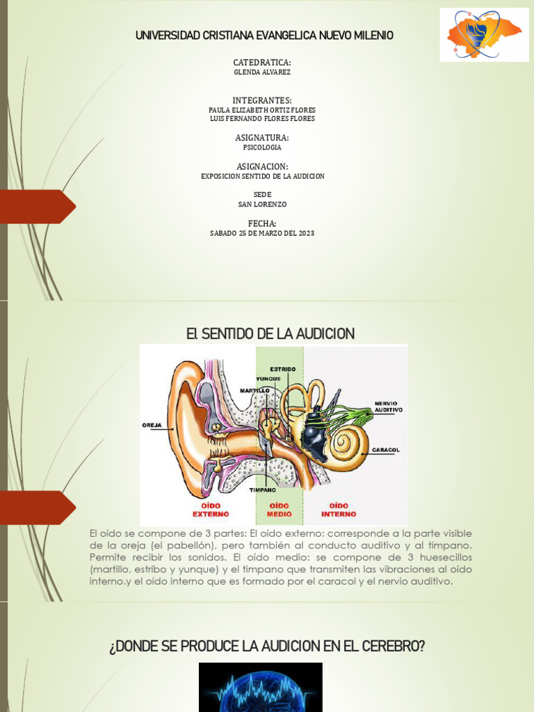 AUDICION | PDF | Oído | Escuchando