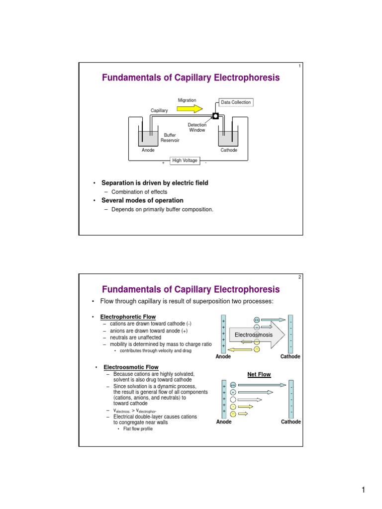 322 Capillary Electrophoresis | PDF | Capillary Electrophoresis ...