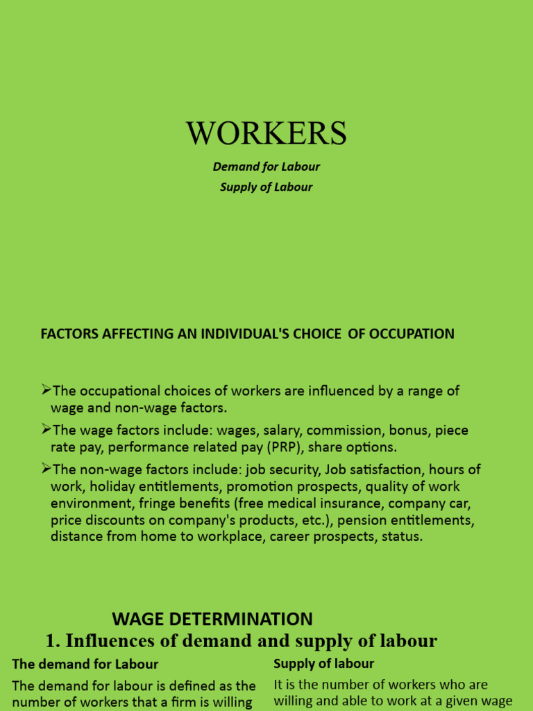 Workers | PDF | Labour Economics | Wage